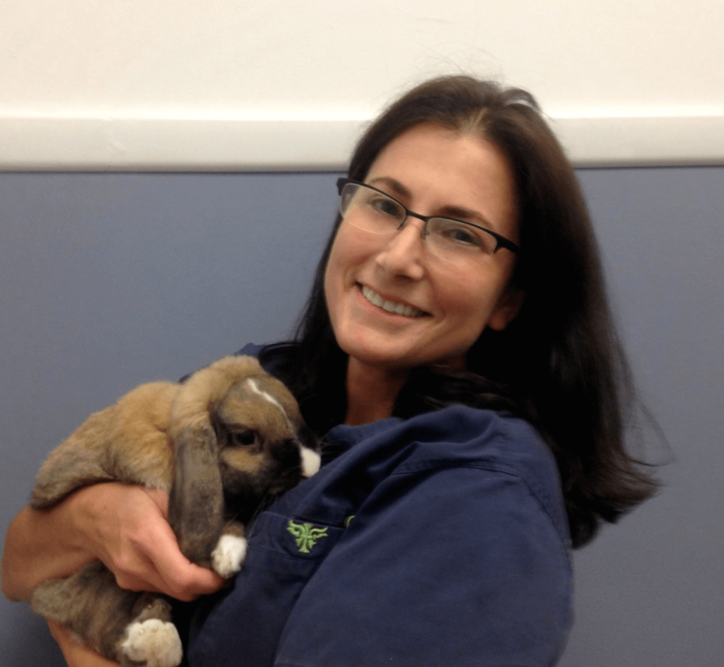 Meet Our South Team | Pet Care In Asheville, NC
